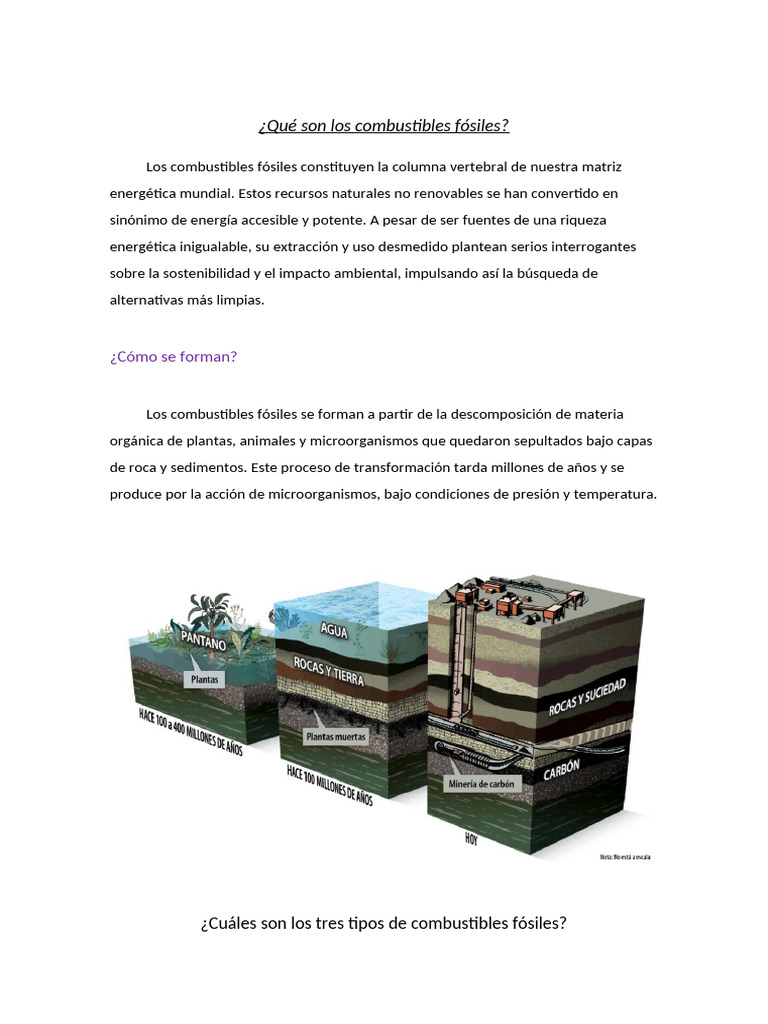 Tipos y formación de combustibles fósiles | PDF | Petróleo ...