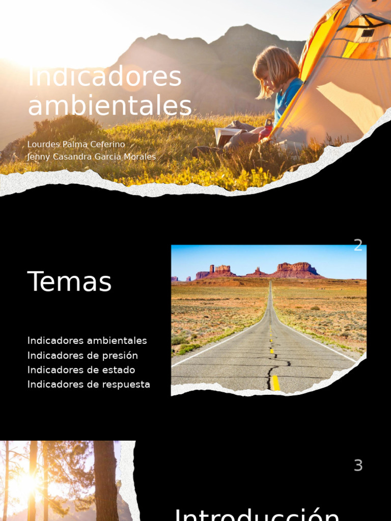 Indicadores | PDF | Entorno natural | Microsoft PowerPoint