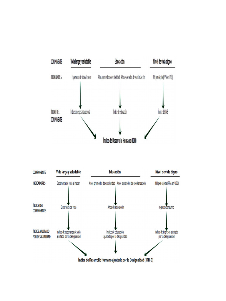 Esquemas Índices de Desarrollo Humano | PDF