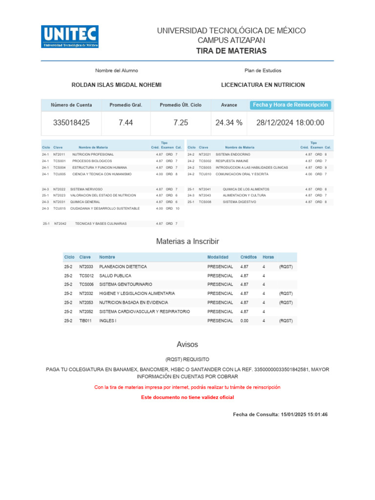 Tira de Materias | PDF