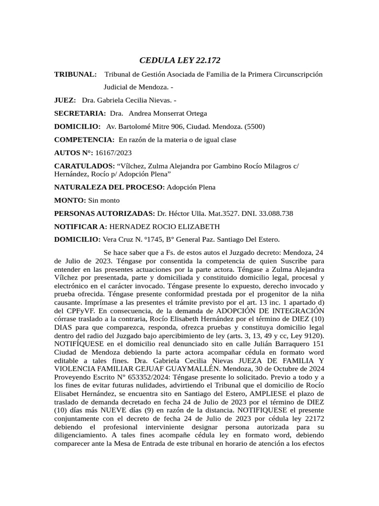Cedula Ley 22. 172. Alejandra Vilchez Ampliacion Def | PDF | Adopción | Ley Pública