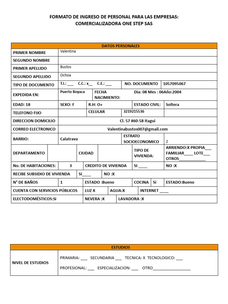 Formato de Ingreso de Personal | PDF