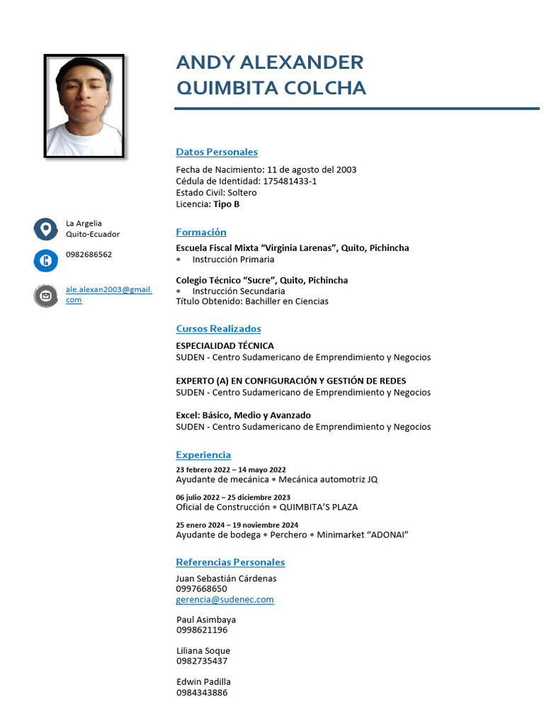 Perfil Profesional de Andy Alexander | PDF