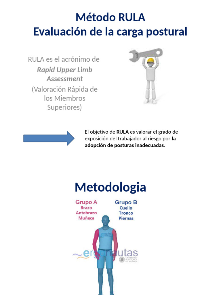 Método RULA Presentacion Por Seba | PDF