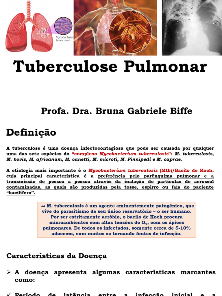 Entendendo a Tuberculose Pulmonar | PDF | Tuberculose | Mycobacterium ...