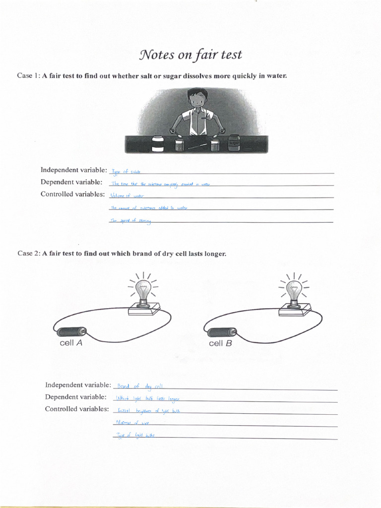 Science “Fair Test” Technique | PDF