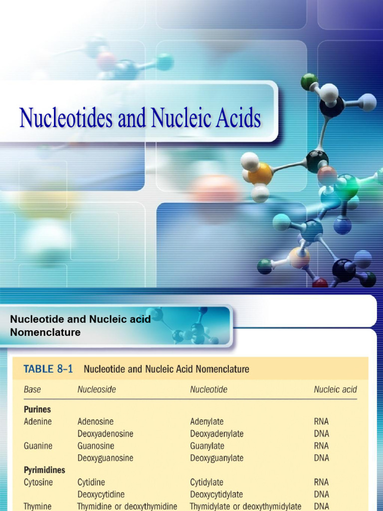 Nucleotide Functions and Nucleic Acid Structure | PDF | Rna | Dna