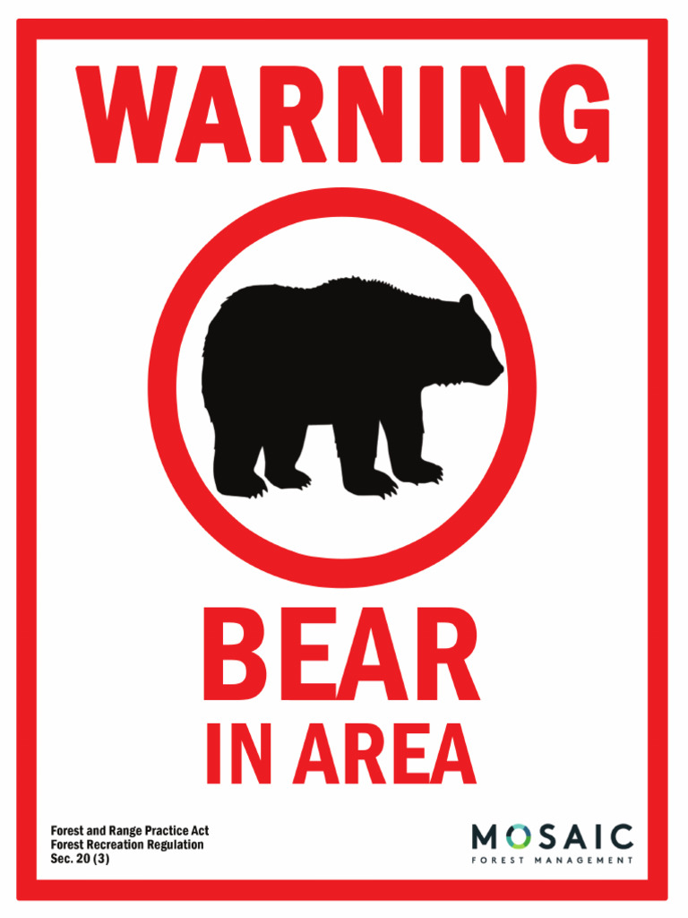 WARNING-Bear | PDF