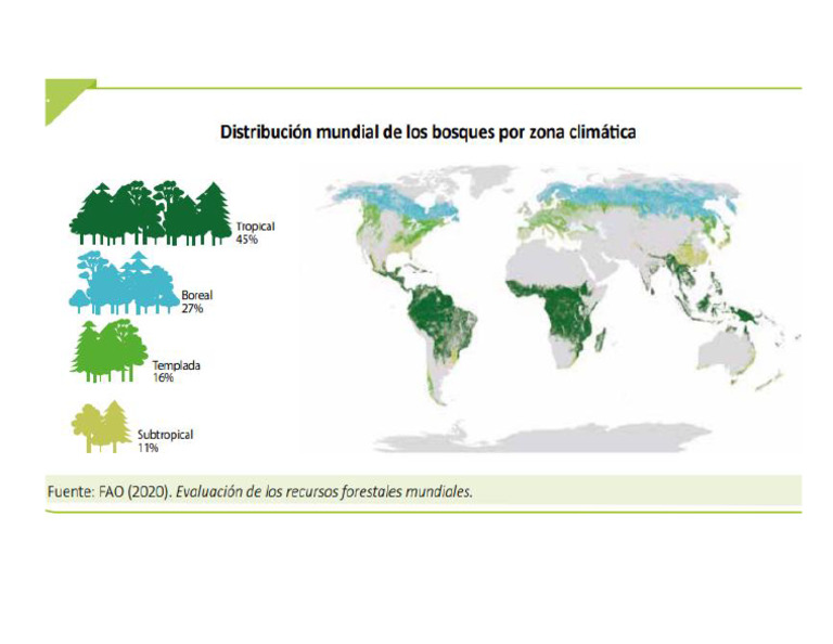 Mapa de Bosques 9no | PDF