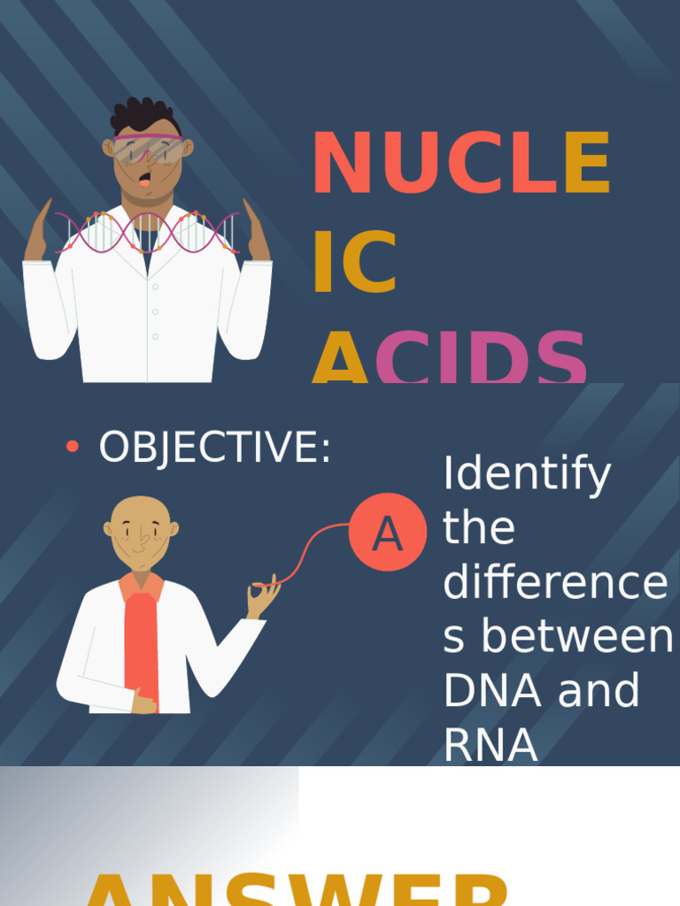 Nucleic Acids | PDF | Nucleic Acids | Rna