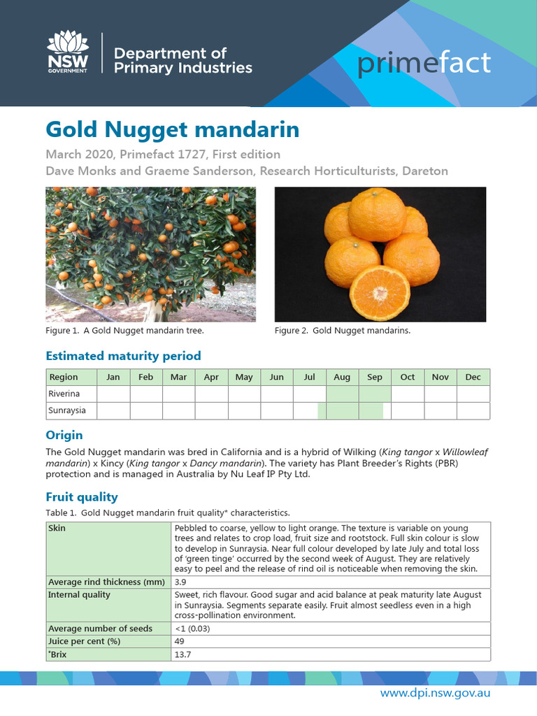 Gold-Nugget-mandarin | PDF | Edible Fruits | Tropical Fruit