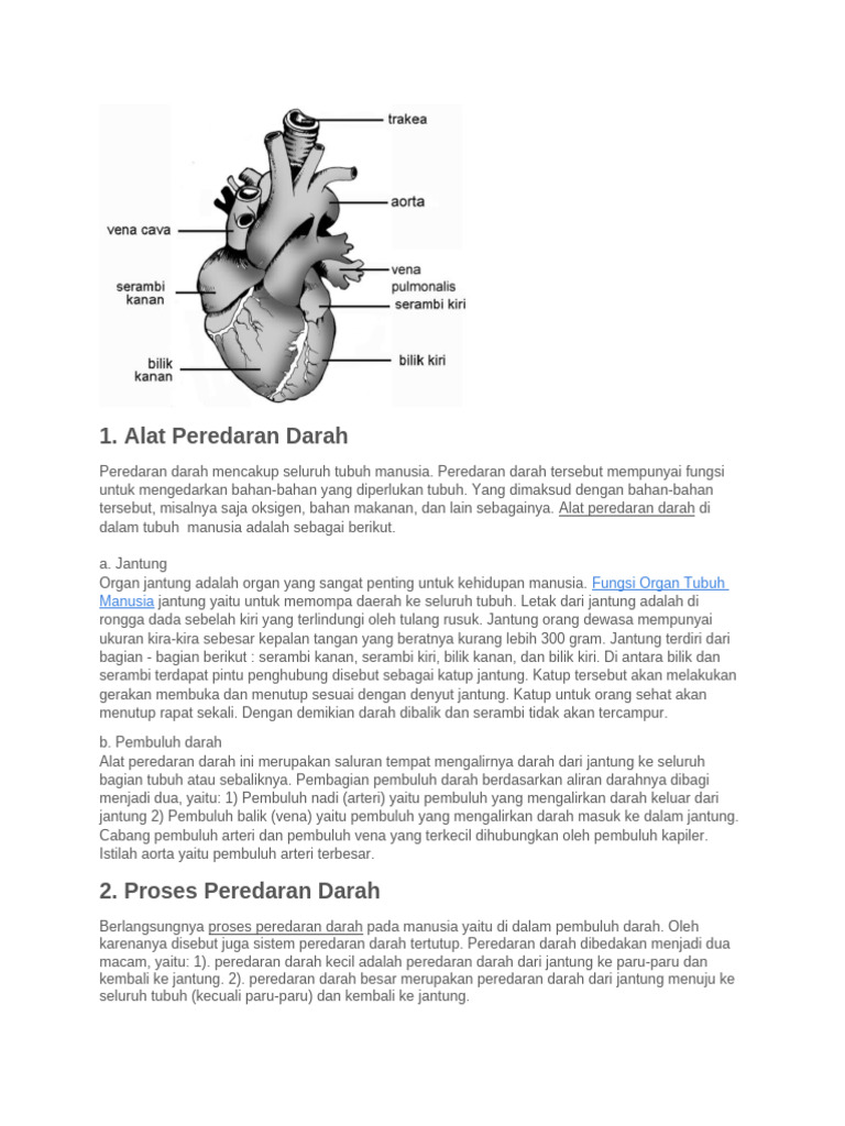 materi sistem peredaran darah | PDF