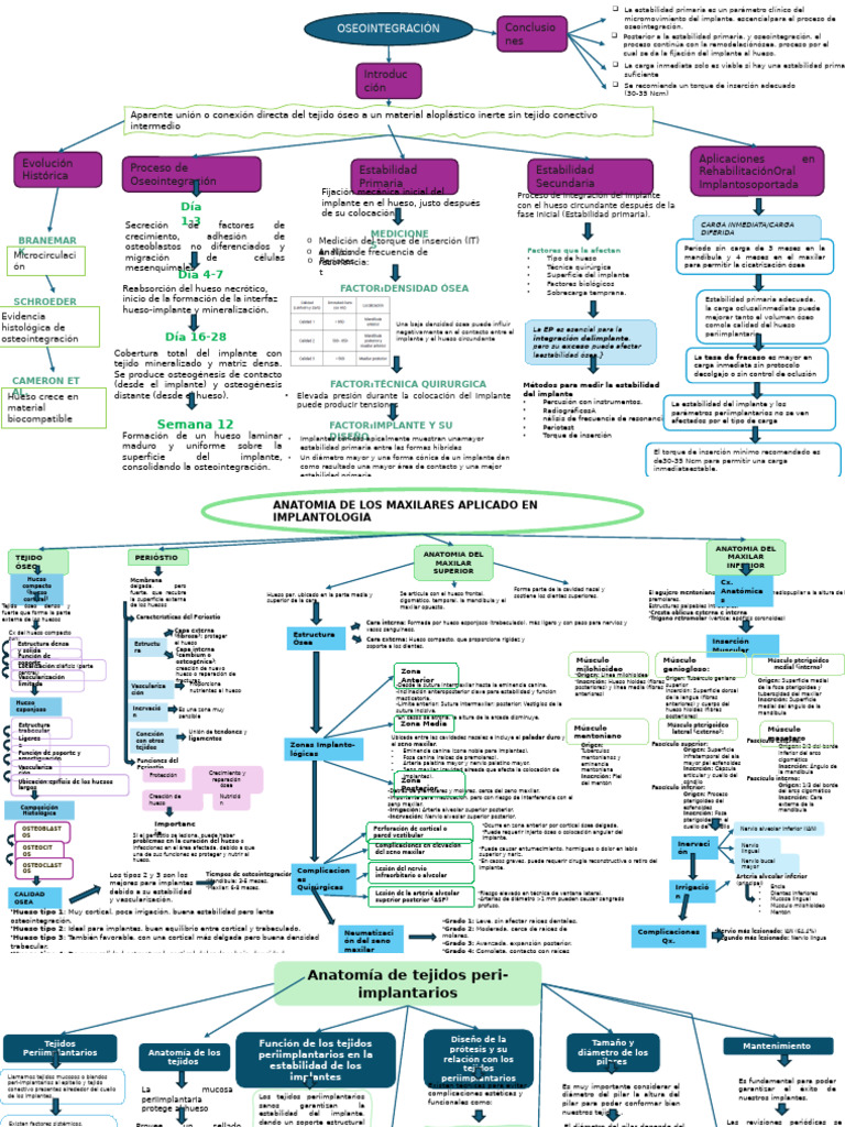 Mapas Conceptuales Diana Taboada (Fundamento Implante) | PDF | Hueso ...