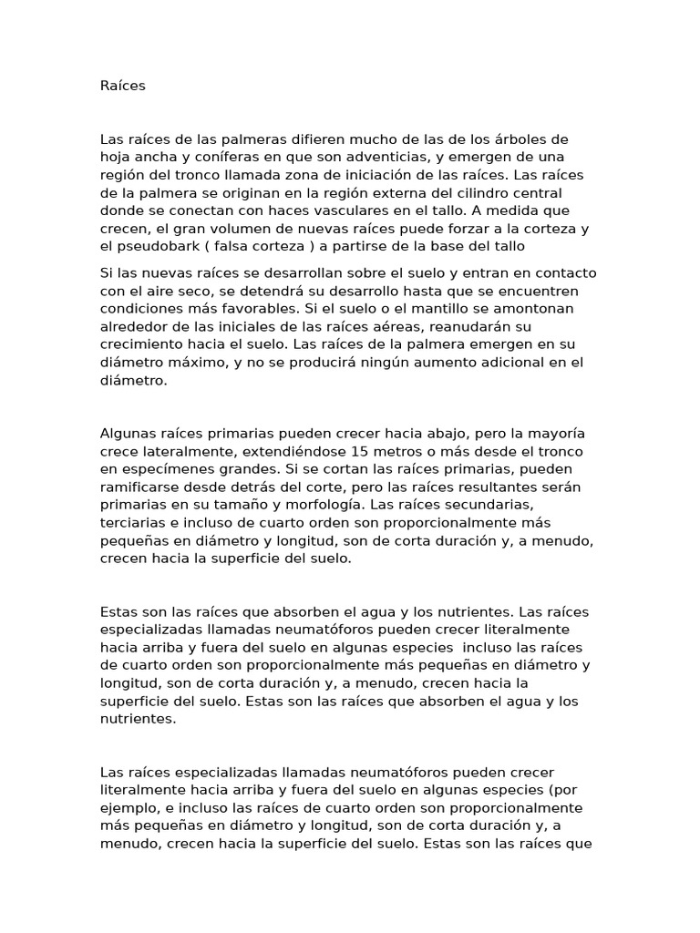 Las Raices de Las Palmeras | PDF | Raíz | Tallo de la planta