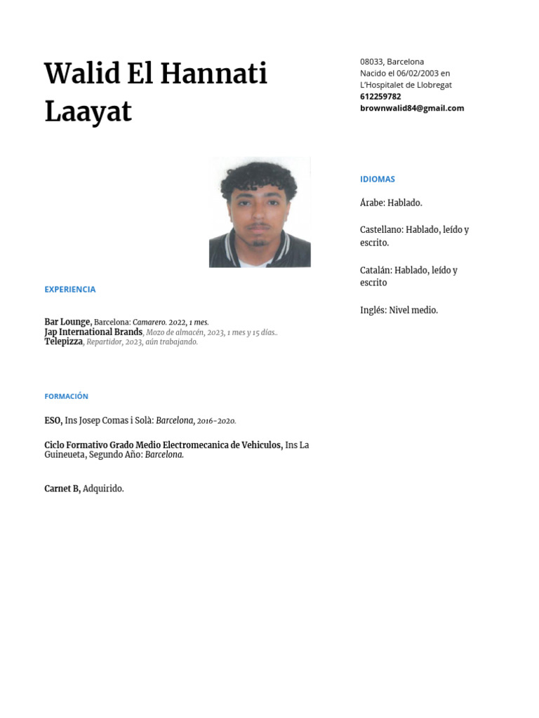 Walid El Hannati Laayat CV | PDF