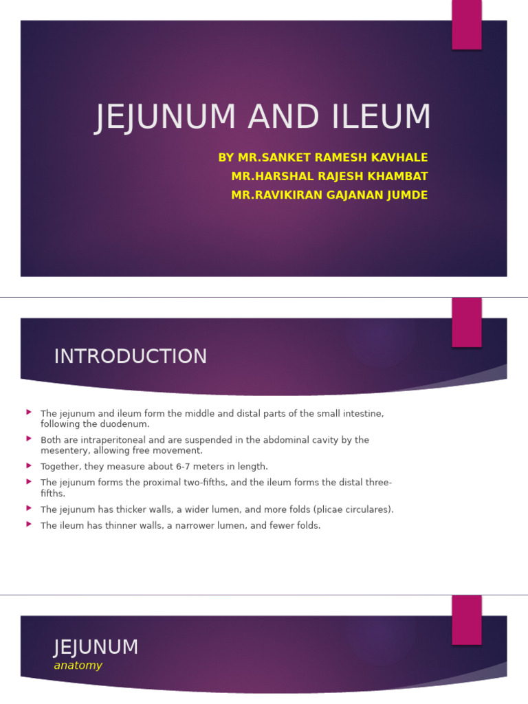 Anatomy and Functions of Jejunum & Ileum | PDF | Small Intestine ...