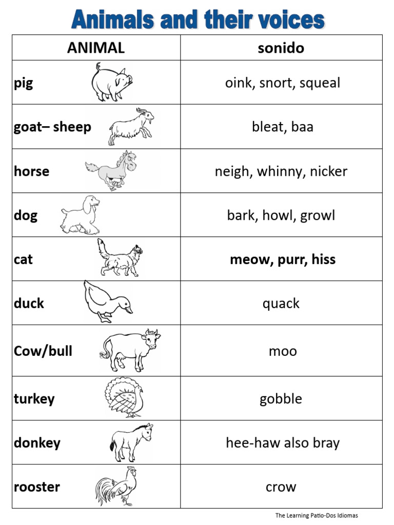 Animal Sounds Animals and Their Voice2s | PDF
