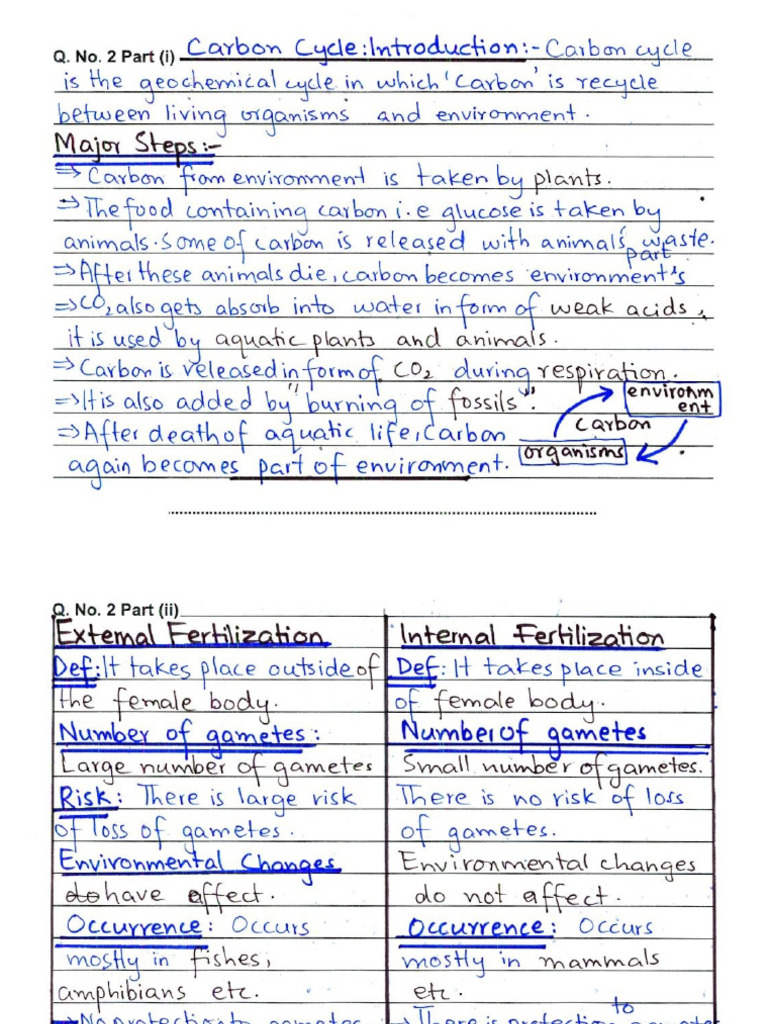 Bio 1 | PDF