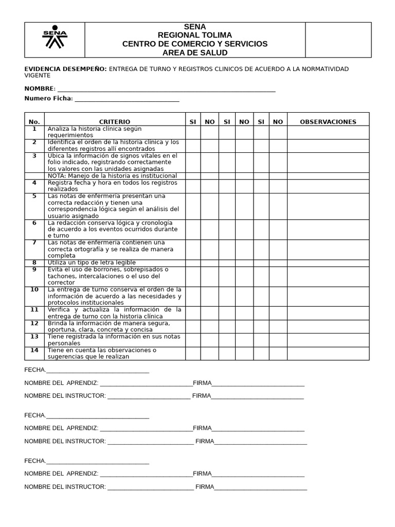 Lista CH Notas de Enfermeria y Entrega de Turno | PDF