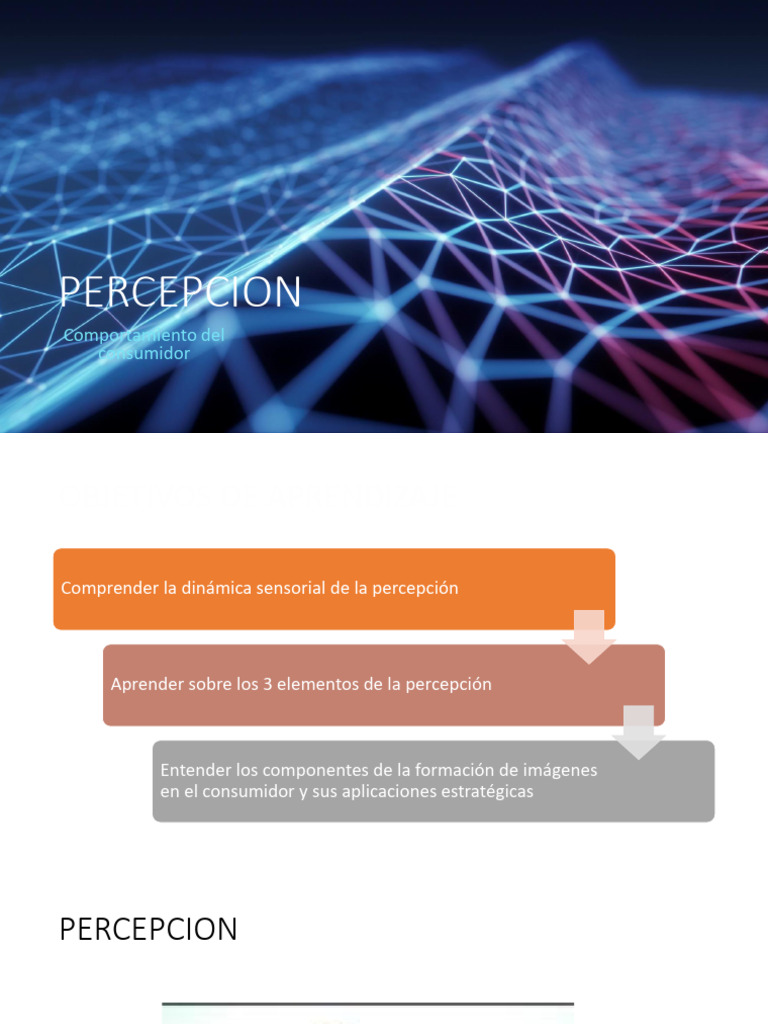 PERCEPCION | PDF | Percepción | Sentidos