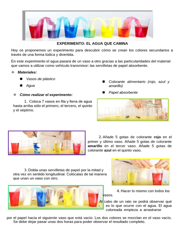 Agua Que Camina Experimento | PDF