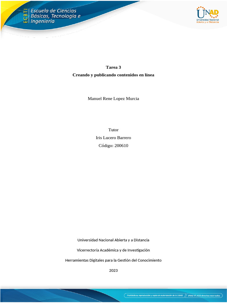 Anexo 3 - Formato_entrega_Tarea3 | PDF | Red mundial | Internet y web