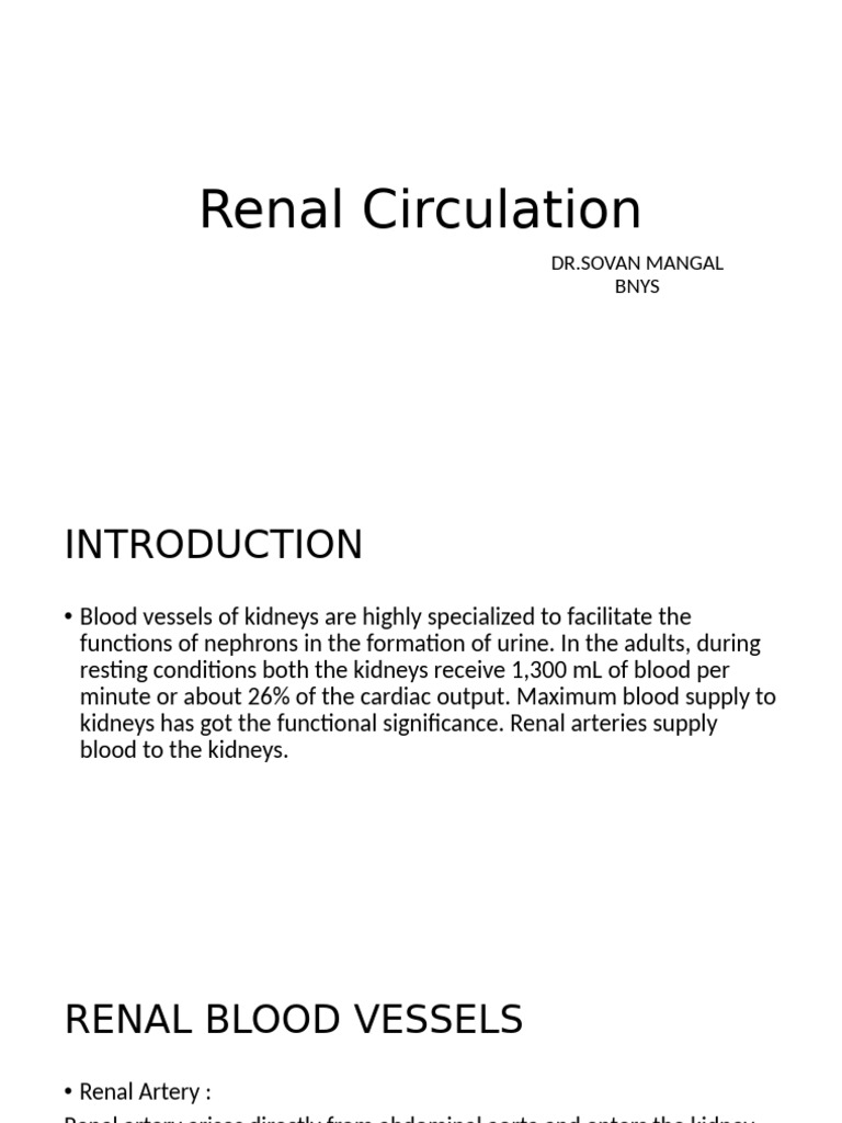 Renal Circulation Special Notes | PDF | Kidney | Physiology