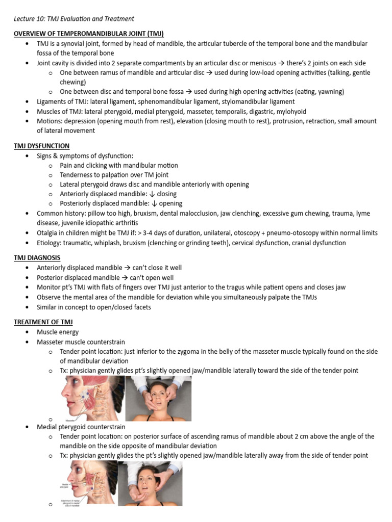 omm lec 10 summary (2) | PDF | Musculoskeletal System | Human Head And Neck