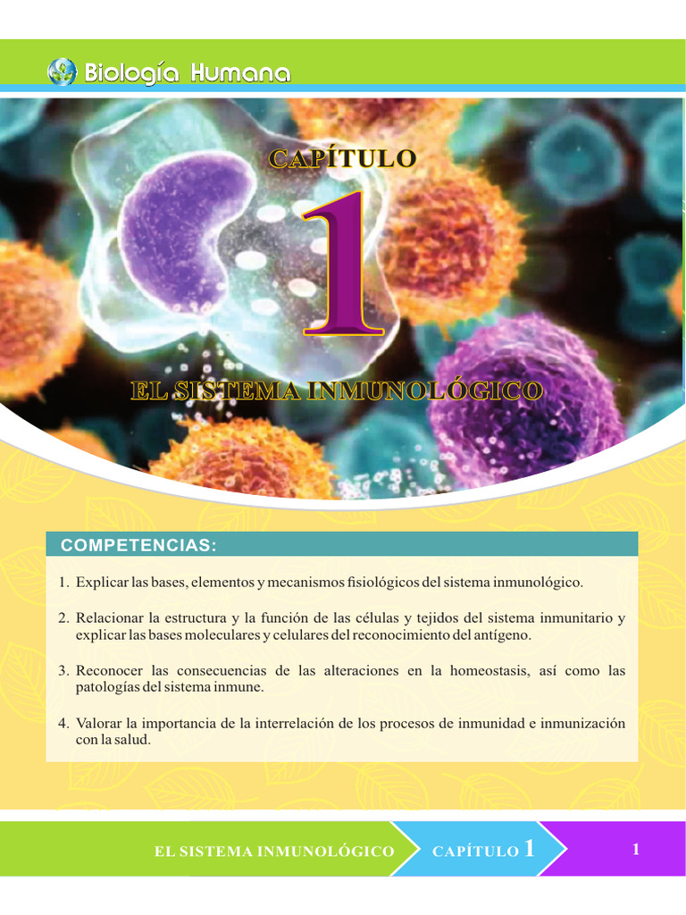 Sistema Inmunológico | PDF | Sistema inmune | Linfocitos