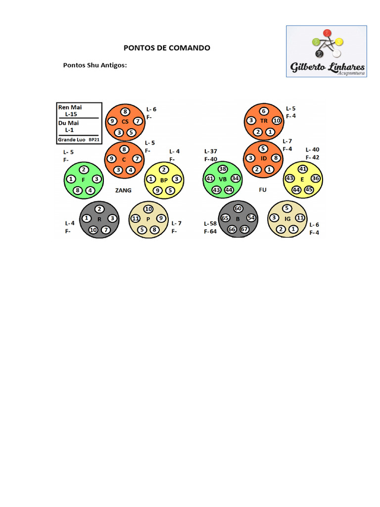 Pontos de Comando | PDF