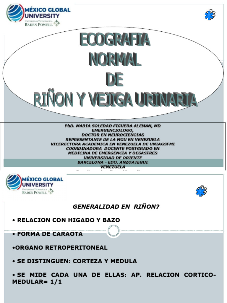 Ecografia Normal de Riñon | PDF | Riñón | Sistema genitourinario