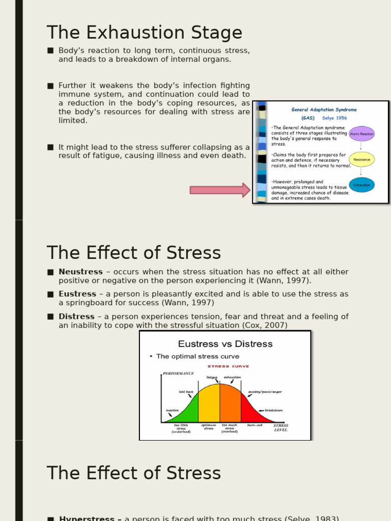 Stress & Sport Performance Part 2 | PDF | Stress (Biology) | Subjective ...