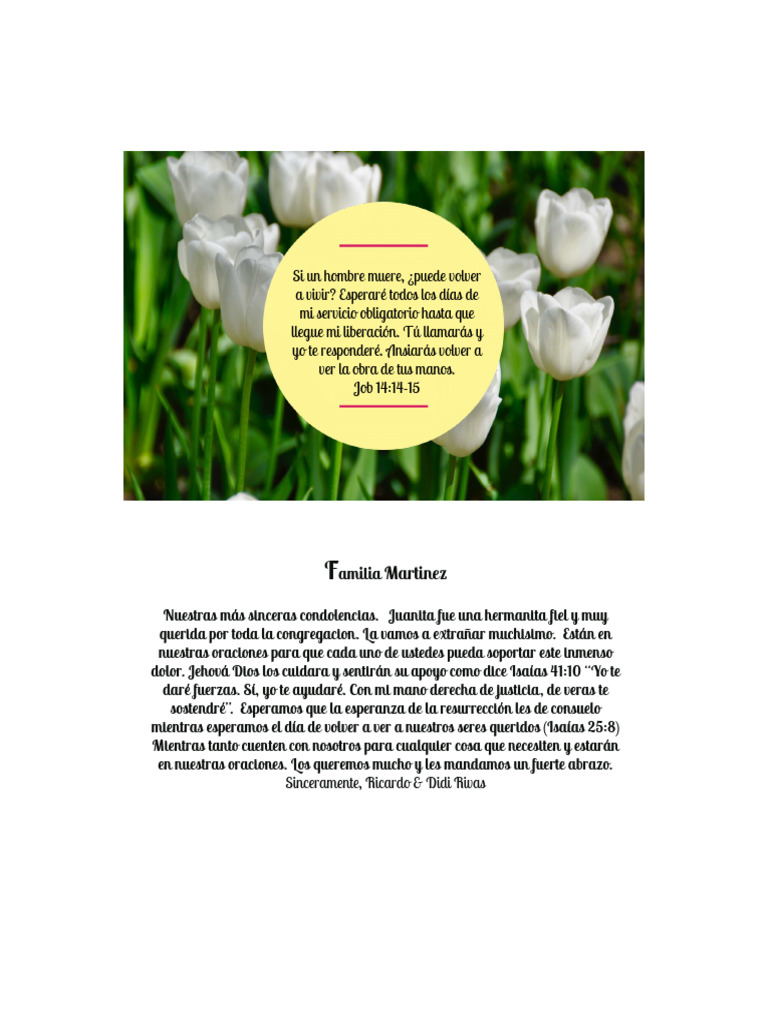 A Very 5389 Postcards Wide | PDF