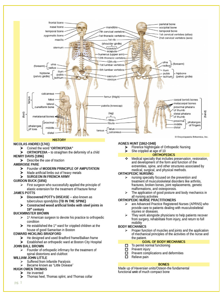 Orthopedic Nursing | PDF | Bone | Skull