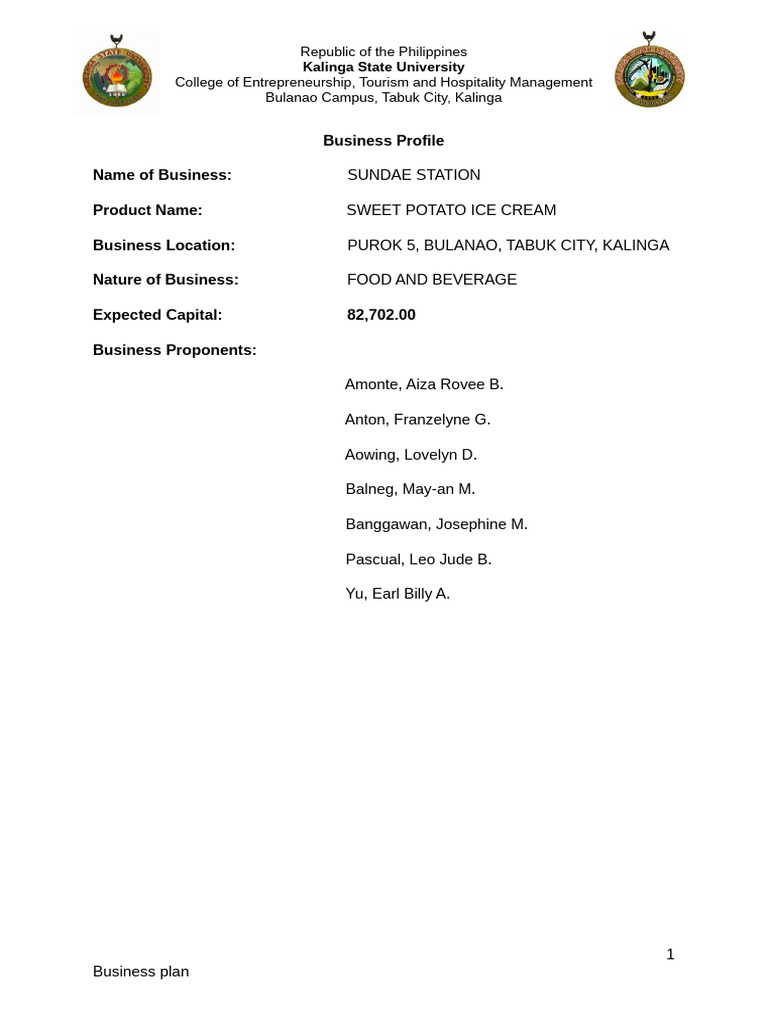 Business Plan Final Edit | PDF | Expense | Net Income