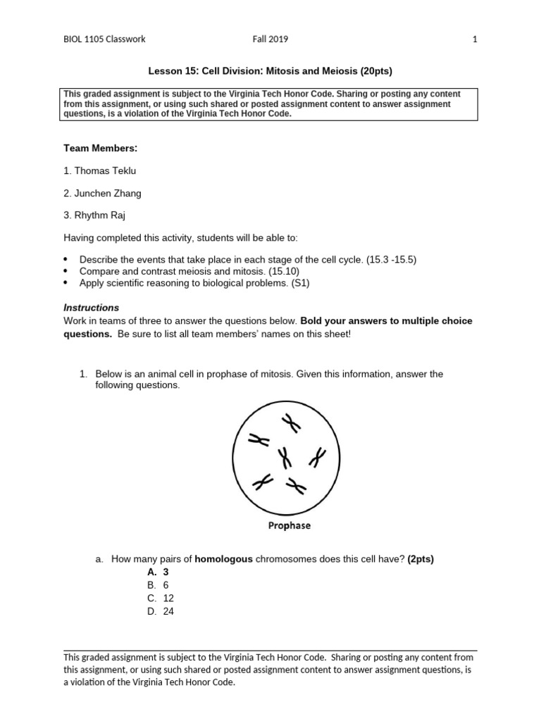 Mitosis and Meiosis Classwork Assignment | PDF | Meiosis | Mitosis