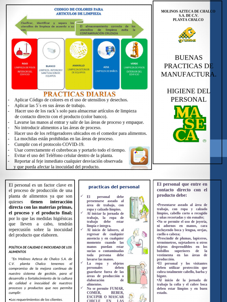 Triptico BPM Higiene Del Personal | PDF | Higiene