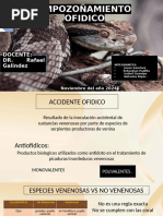 Indicaciones de Suero Antiviperino | PDF | Rtt | Especialidades Medicas