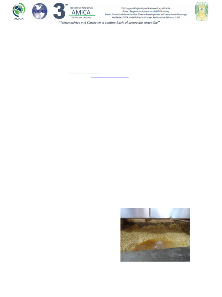 Nejayote | PDF | Agua | Agua potable