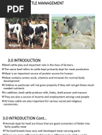 Official List of Breed Codes For Bovine: Beef Breeds | PDF | Livestock | Mammal Breeds