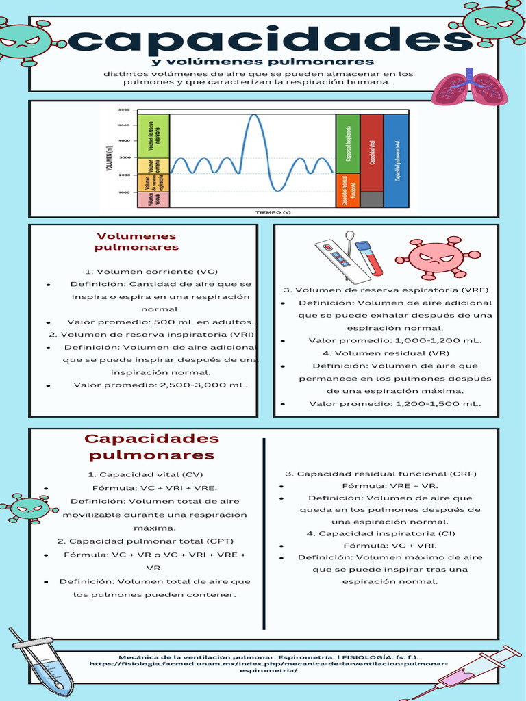 Capacidades pulmonares | PDF | Pulmón | Fisiología