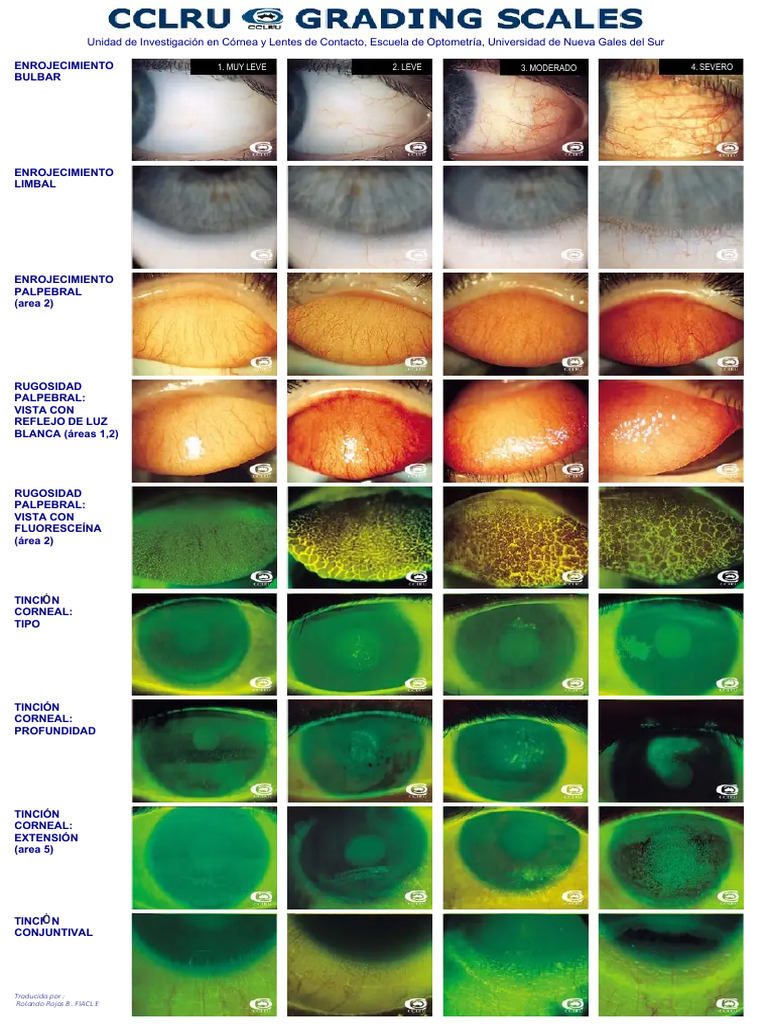 Escala de Graduación CCLRU | PDF