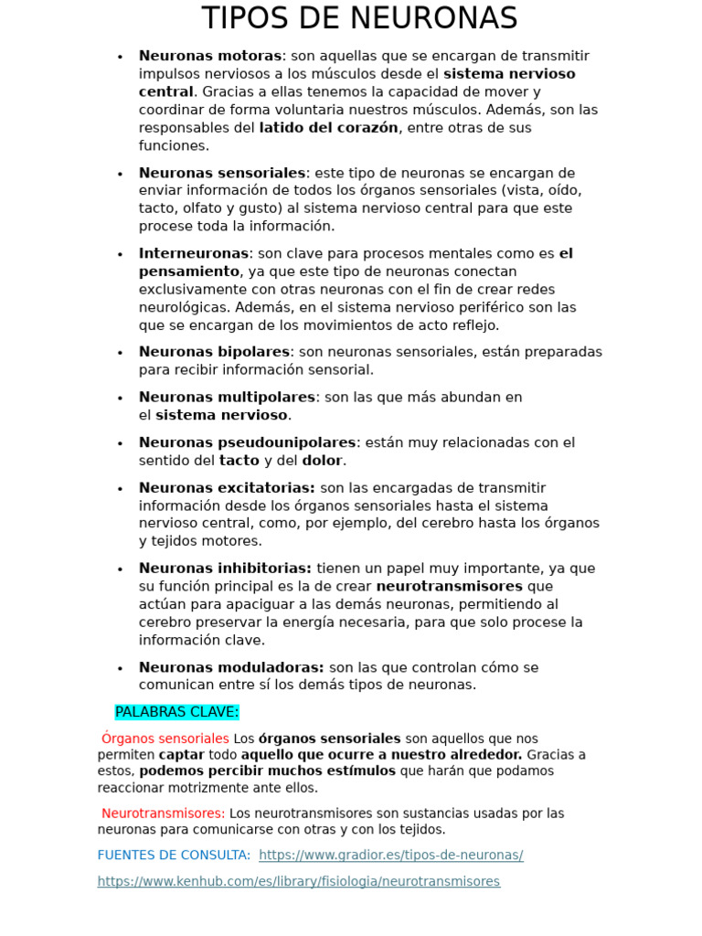 Tipos de Neuronas | PDF