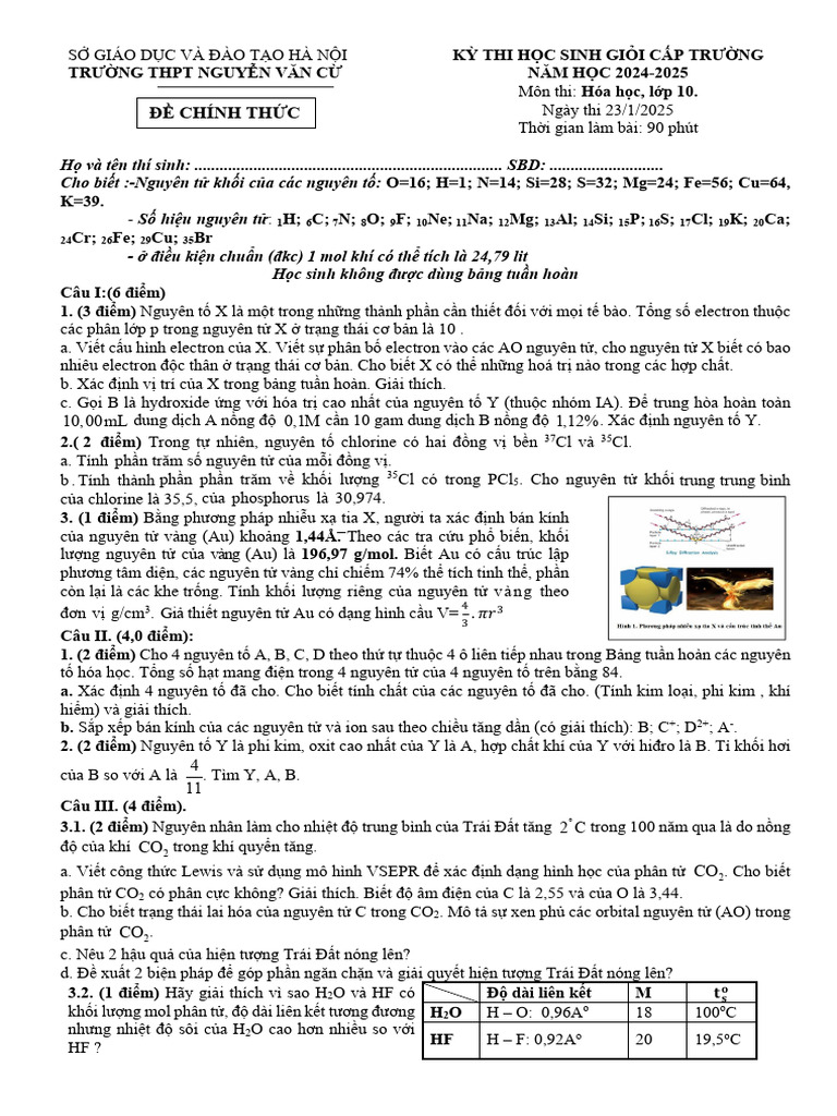 HSG 10 - NVC-2024 - S A | PDF