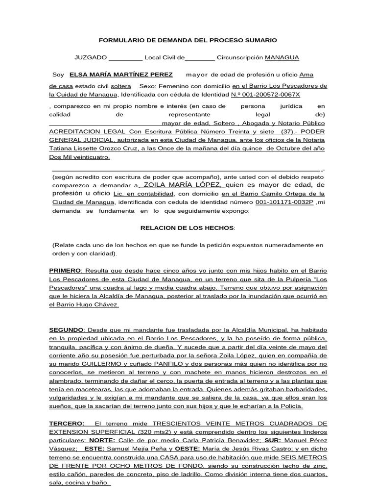 01 Formato Demanda Proceso Sumario | PDF
