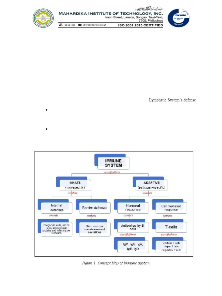 Plant and Animal Immune Systems Explained | PDF | Immune System | T Cell