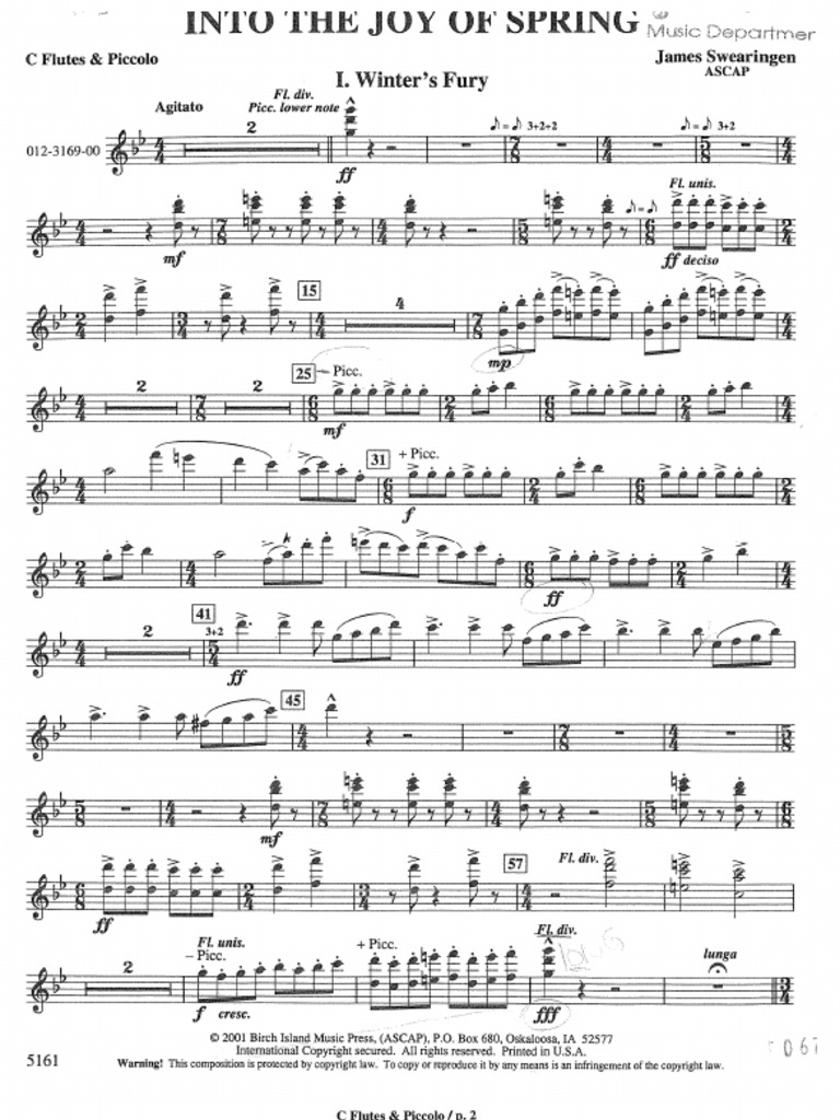 Into The Joy of Spring | PDF