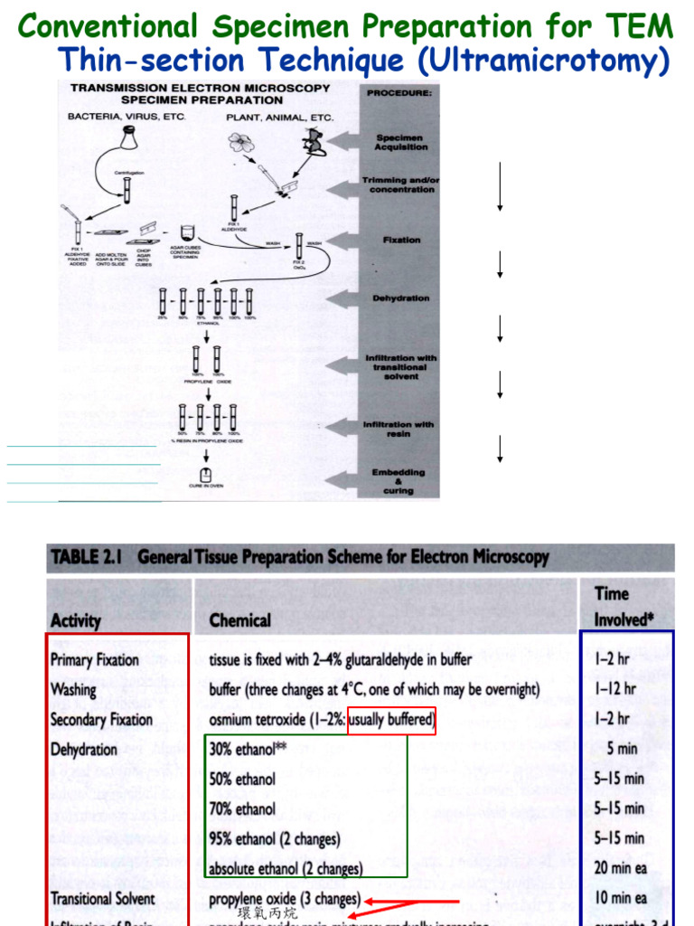 2 Specimen Preparation | PDF | Fixation (Histology) | Histology