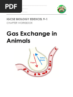 Gaseous Exchange Grade11 Notes | PDF
