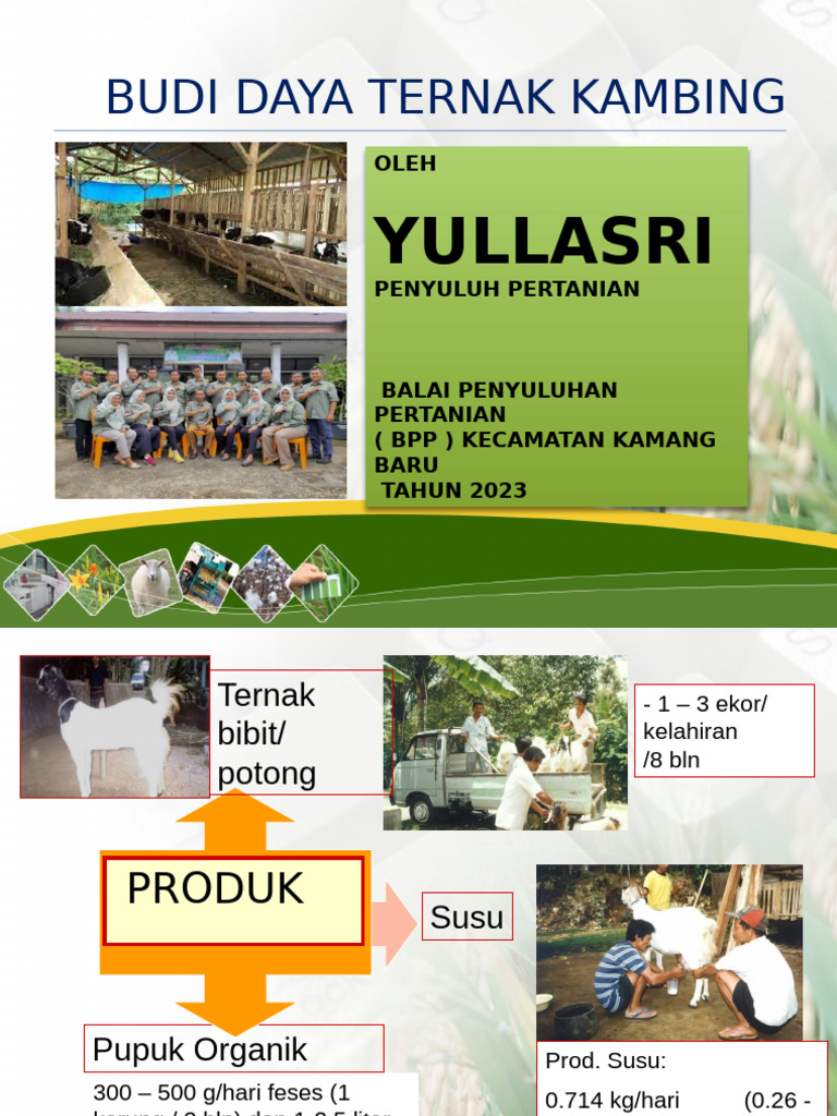 Budidaya Kambing | PDF